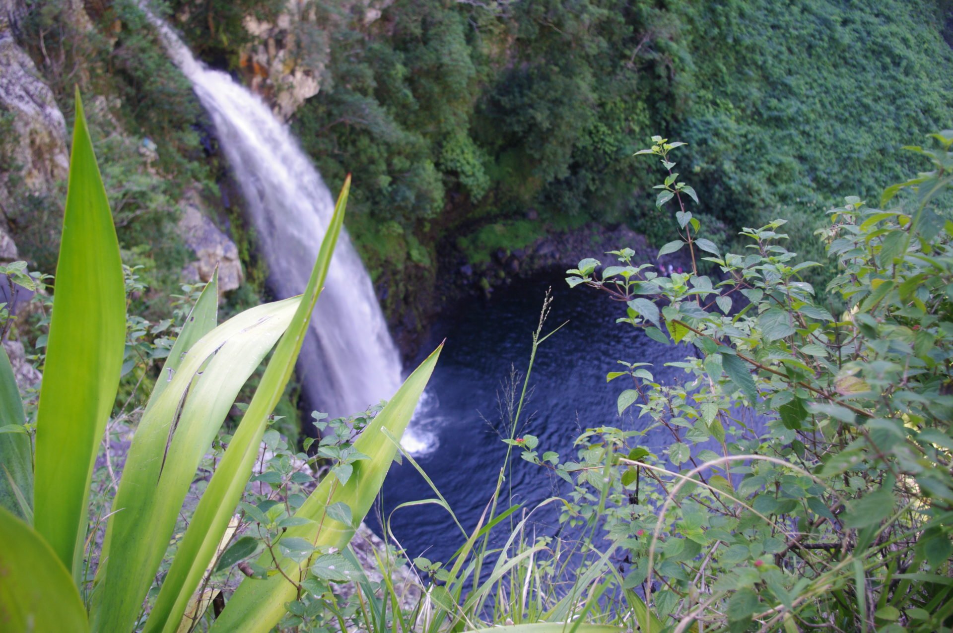 Randonnée à Grand Bassin: à la découverte des sentiers de La Réunion