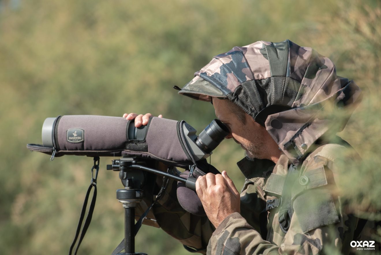 Comment s’équiper pour observer les oiseaux ? Nos conseils