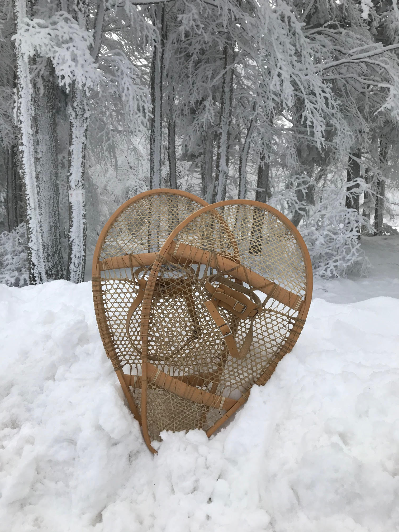 Comment choisir ses raquettes à neige ? Le guide complet