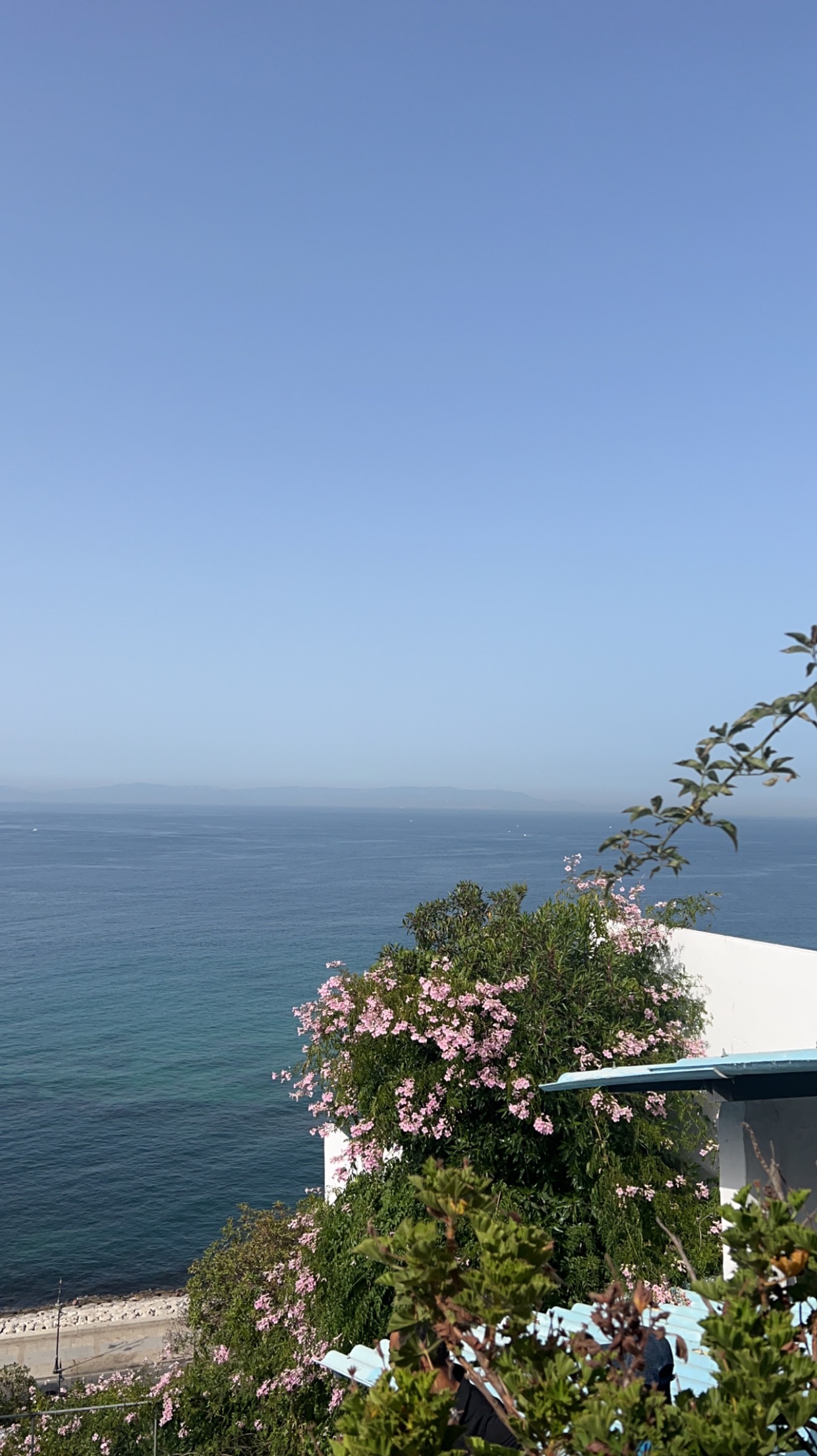 Découvrir Tanger et sa médina durant un voyage au Maroc